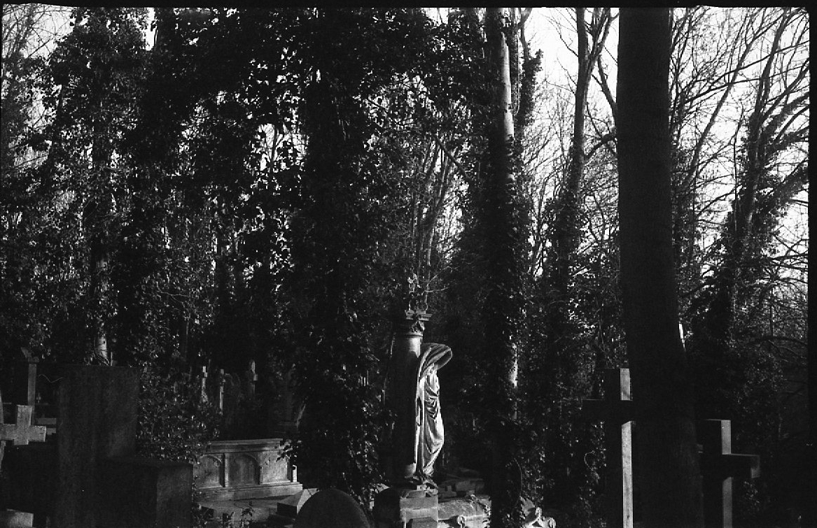 Florante at Laura: Two guys crying in a forest, essentially | Around ...