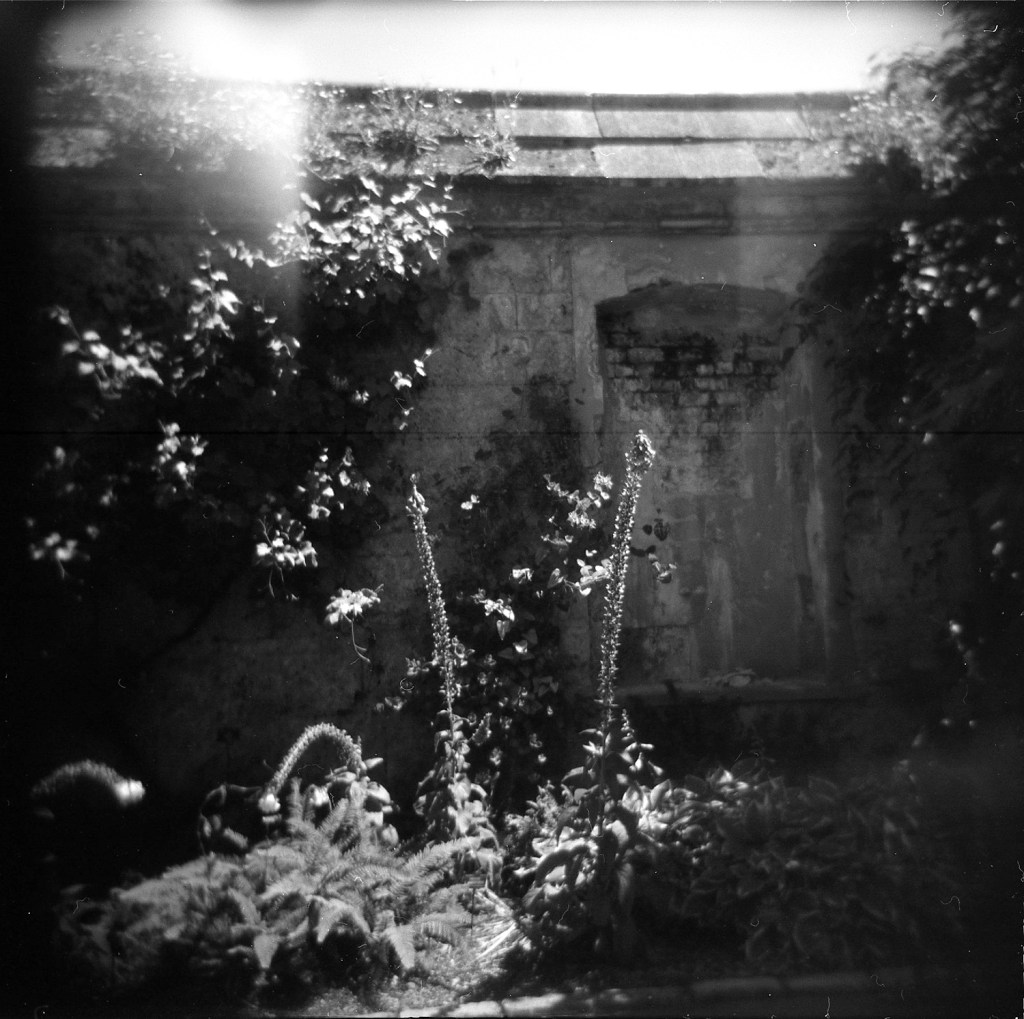 Florante at Laura: Two guys crying in a forest, essentially | Around ...